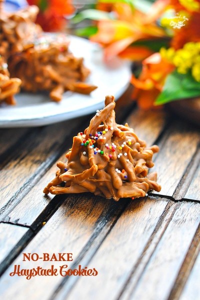 No-Bake Haystack Cookies - The Seasoned Mom