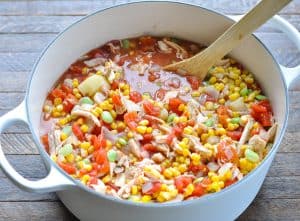 Virginia Brunswick Stew - The Seasoned Mom
