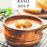 30-Minute Tomato Basil Soup - The Seasoned Mom