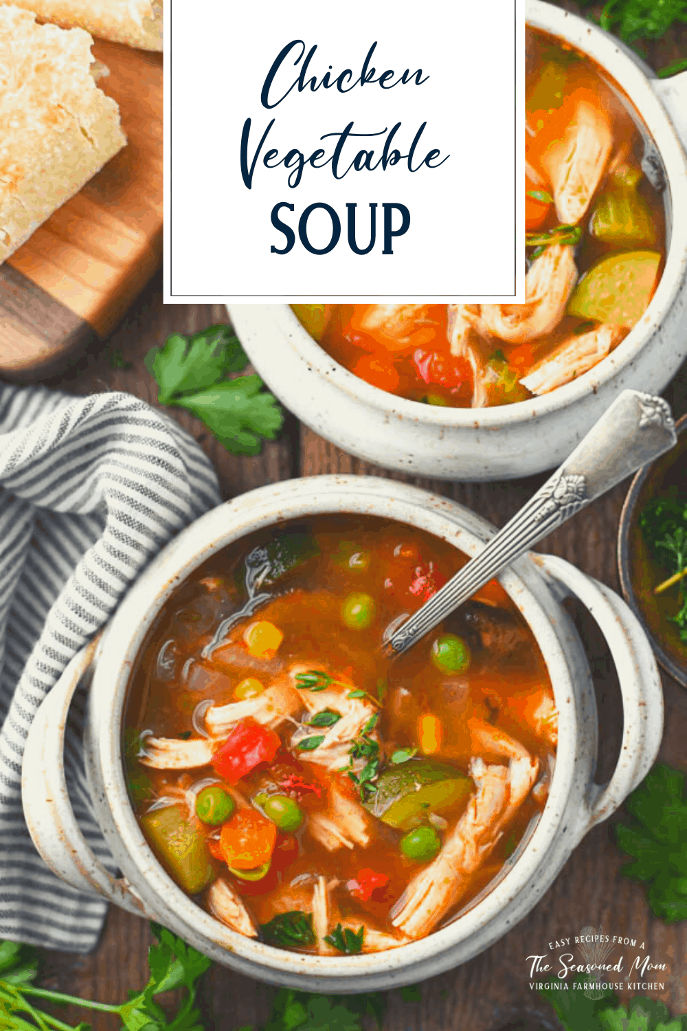 Chicken Vegetable Soup - The Seasoned Mom