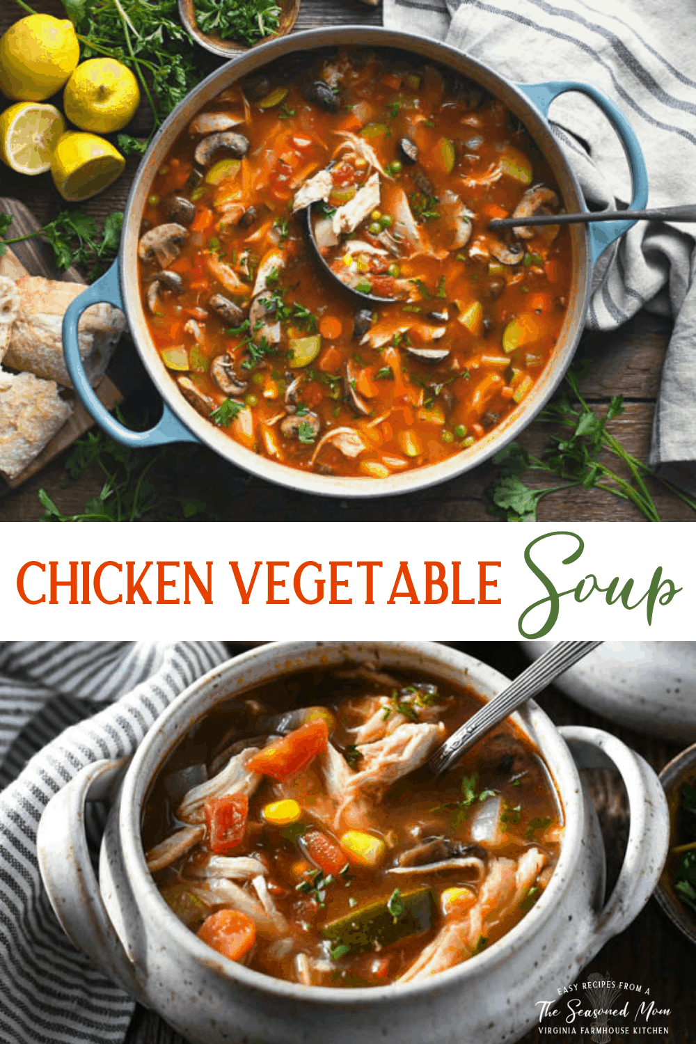 Chicken Vegetable Soup - The Seasoned Mom