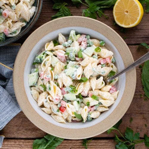 Easy Pasta Salad with Mayo - The Seasoned Mom