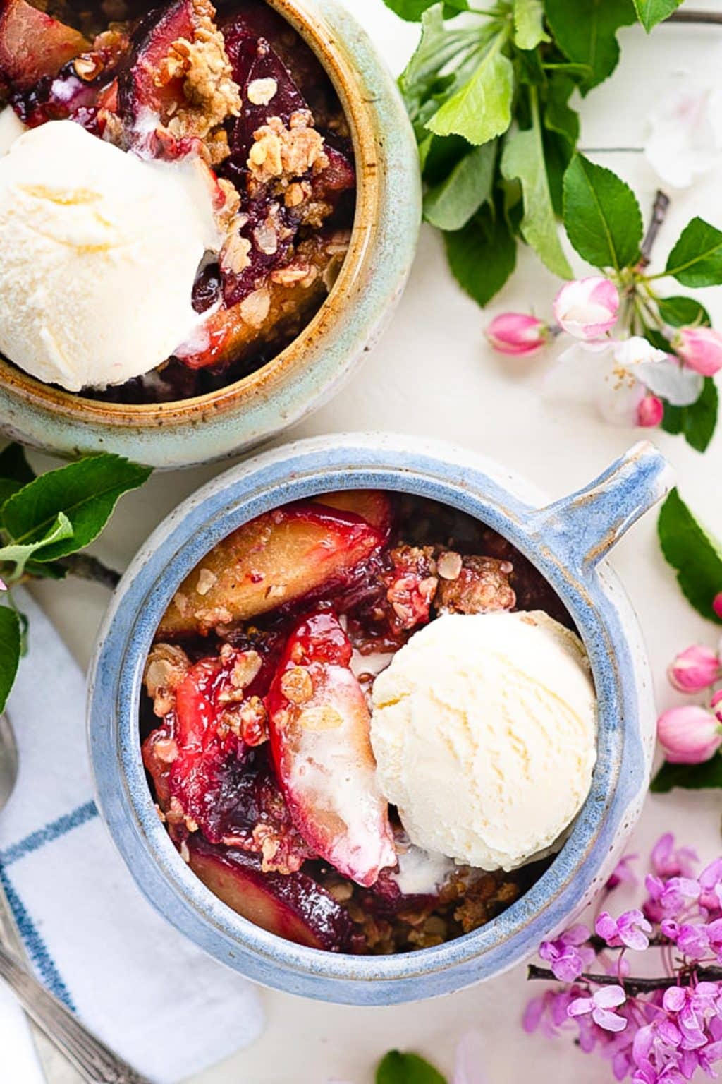 Easy Plum Crisp Recipe (the Best Summer and Fall Fruit Dessert!)