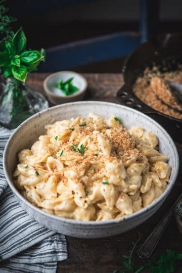 Shells and Cheese - The Seasoned Mom