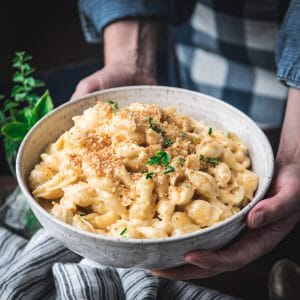 Shells and Cheese - The Seasoned Mom