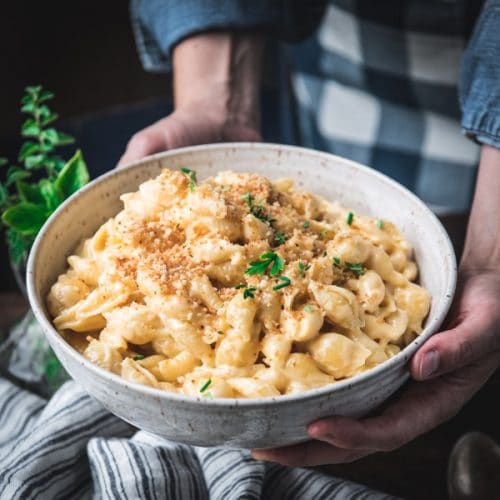 Shells and Cheese - The Seasoned Mom