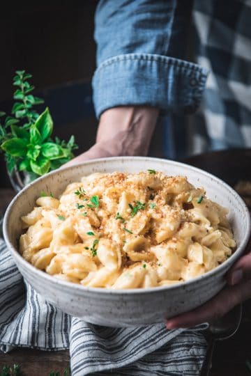 Shells and Cheese - The Seasoned Mom