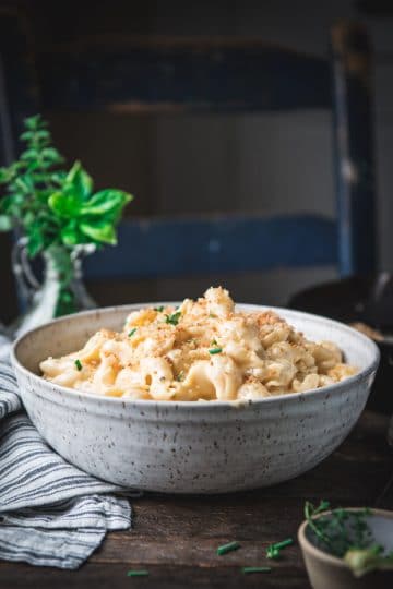 Shells and Cheese - The Seasoned Mom