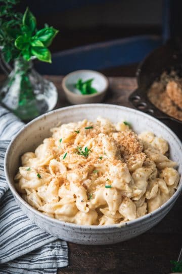 Shells and Cheese - The Seasoned Mom