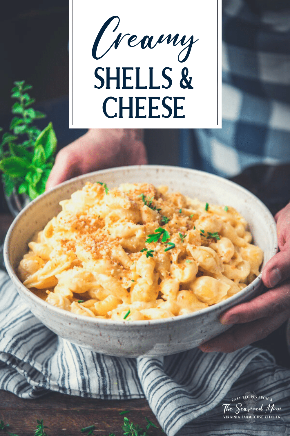 Shells and Cheese - The Seasoned Mom