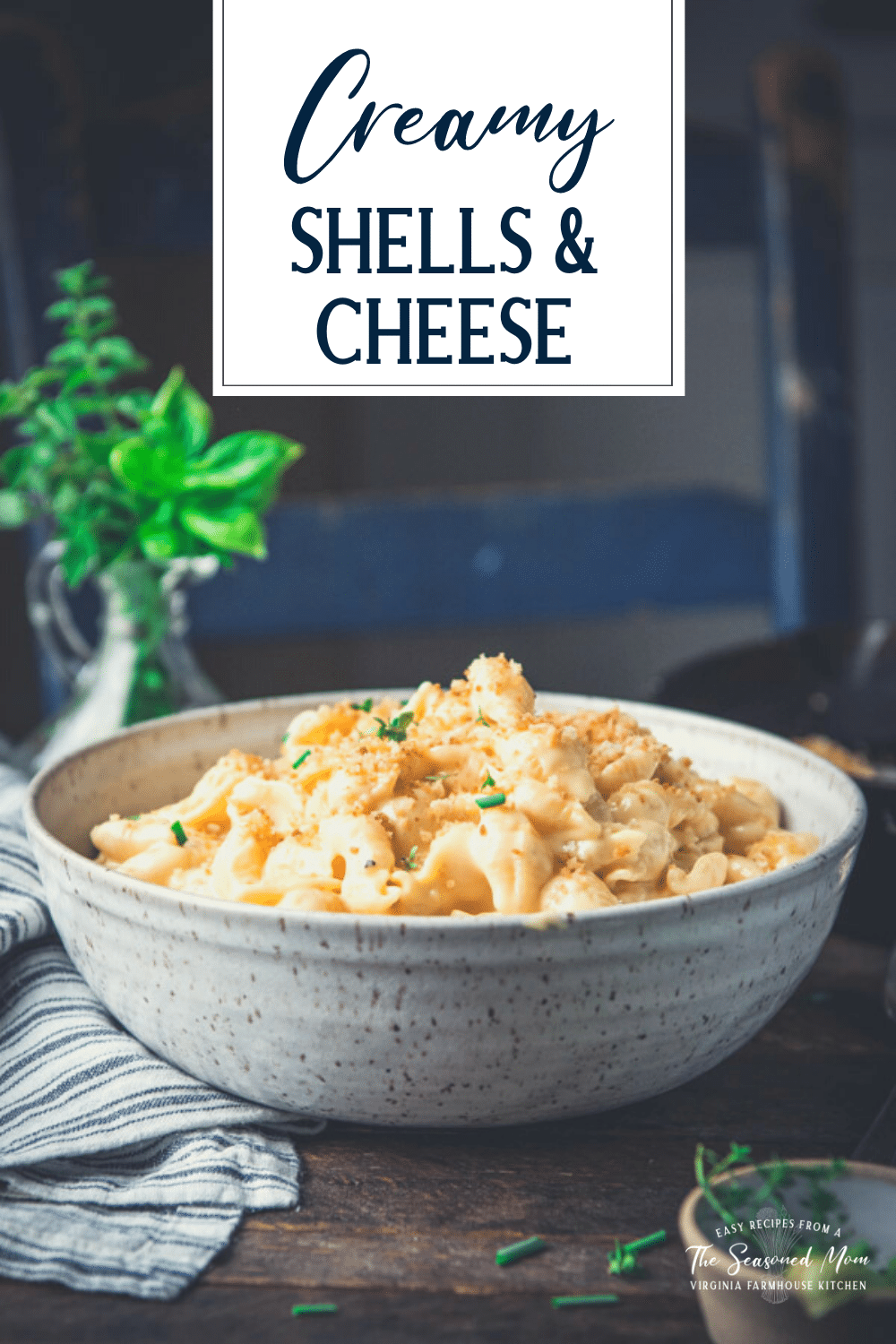 Shells and Cheese - The Seasoned Mom