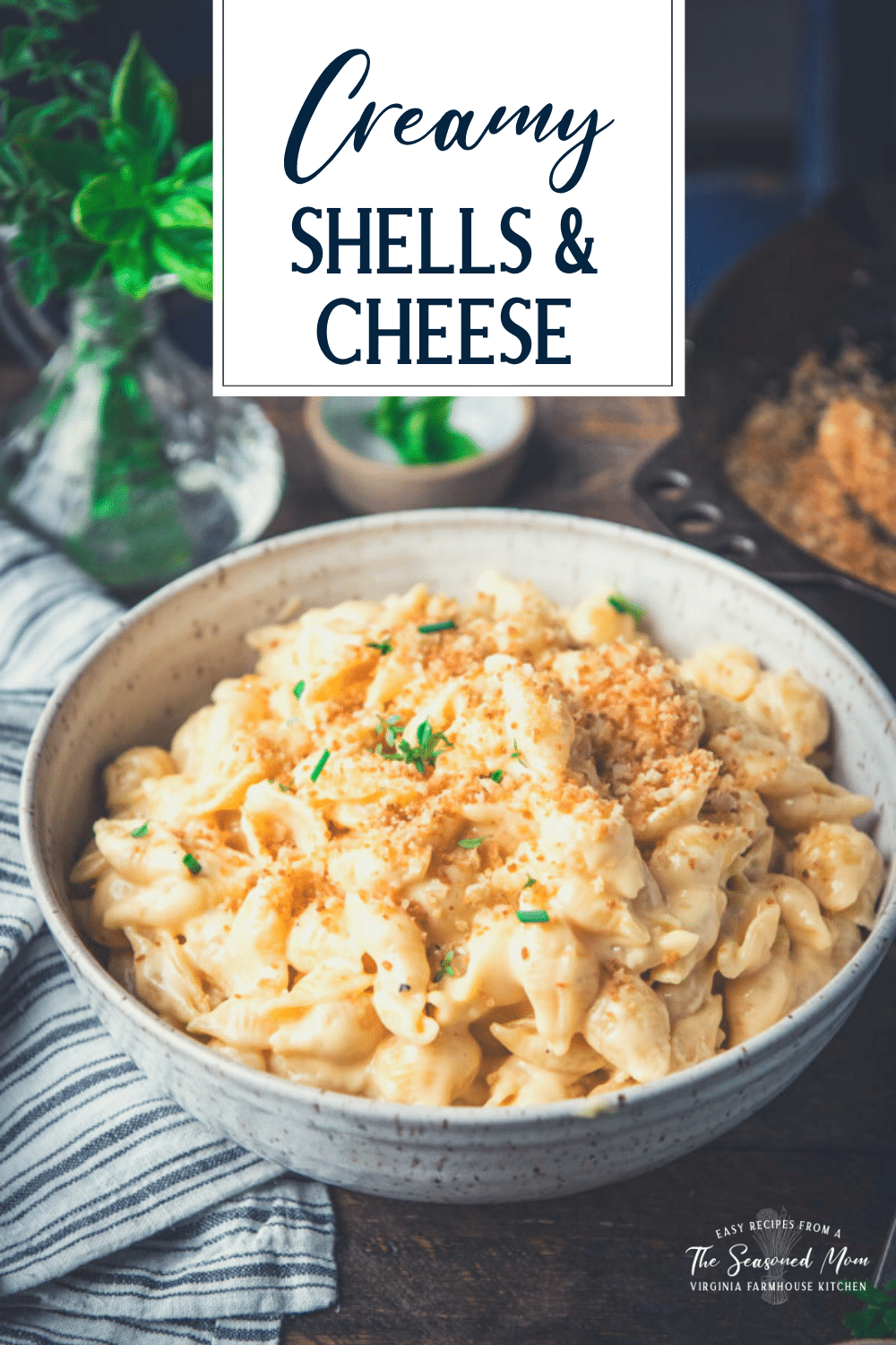 Shells and Cheese - The Seasoned Mom