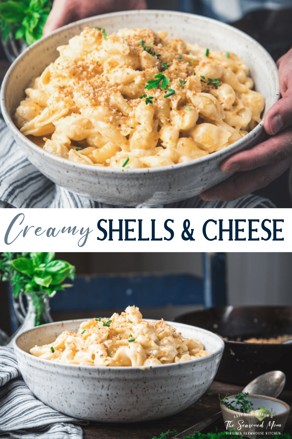 Shells and Cheese - The Seasoned Mom