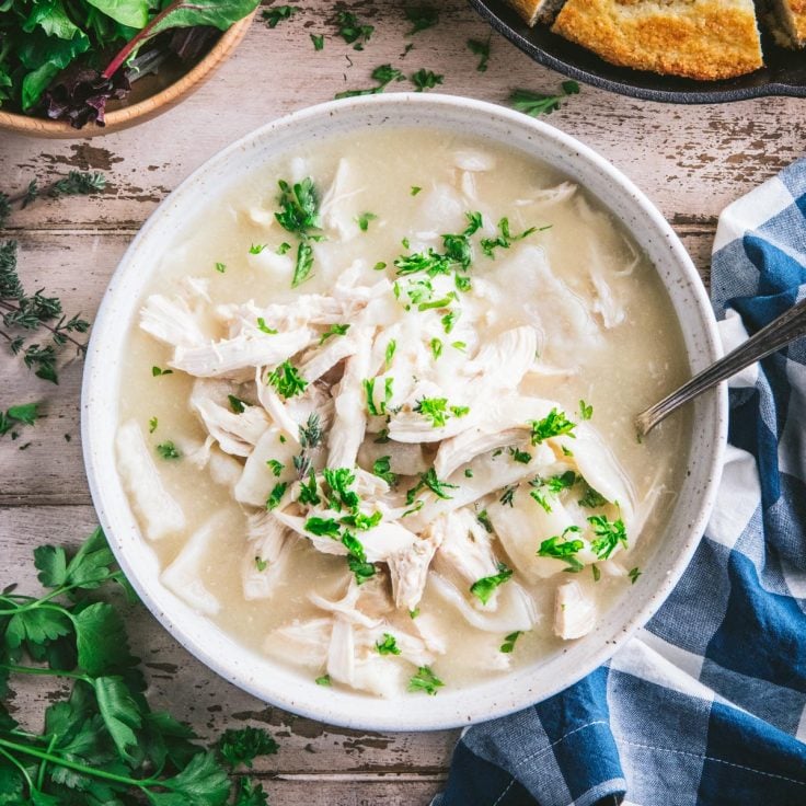 Easy Chicken and Dumplings - The Seasoned Mom