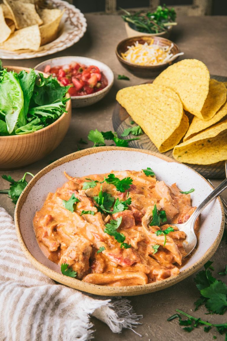 Creamy Crock Pot Salsa Chicken - The Seasoned Mom