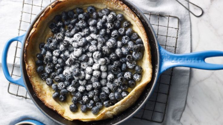 The 5 Best Oven Safe Skillets of 2024 - The Seasoned Mom