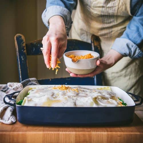 Cheddar Chicken Broccoli Lasagna Recipe - The Seasoned Mom