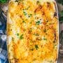Cheddar Chicken Broccoli Lasagna Recipe - The Seasoned Mom