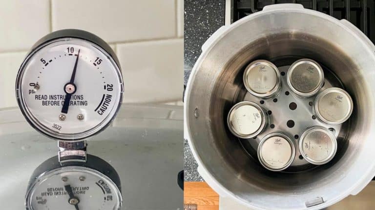 The Best Pressure Canners for Veggies & More - The Seasoned Mom