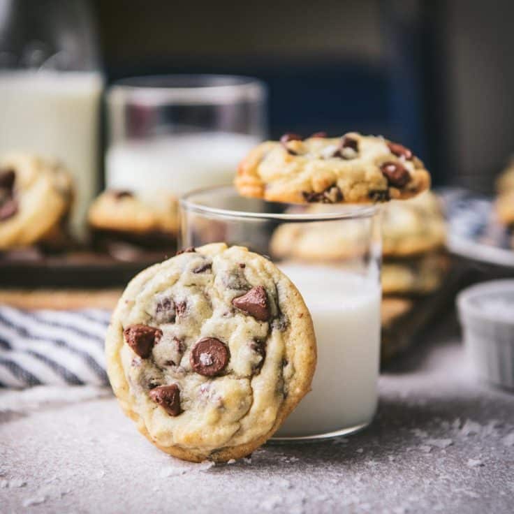 Salted Chocolate Chip Cookies - The Seasoned Mom