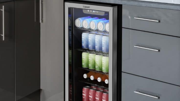 The 4 Best Beverage Refrigerators of 2024 - The Seasoned Mom