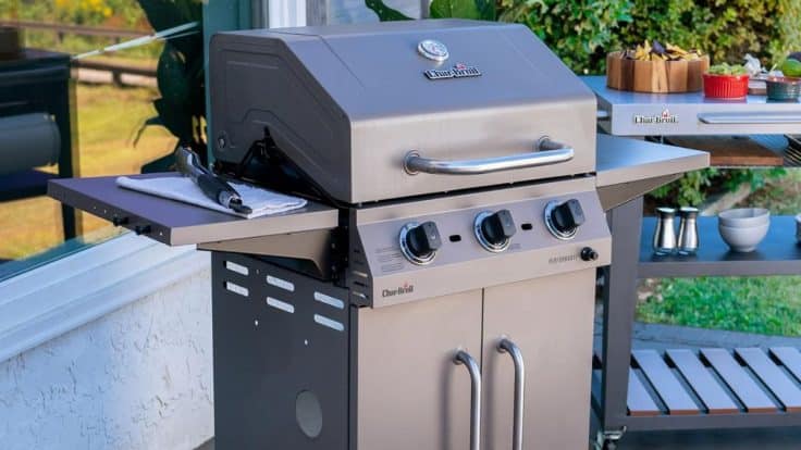 The 6 Best Small Gas Grills And Our Favorite Grilling Recipes - The ...