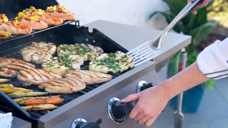 The 6 Best Small Gas Grills And Our Favorite Grilling Recipes - The ...