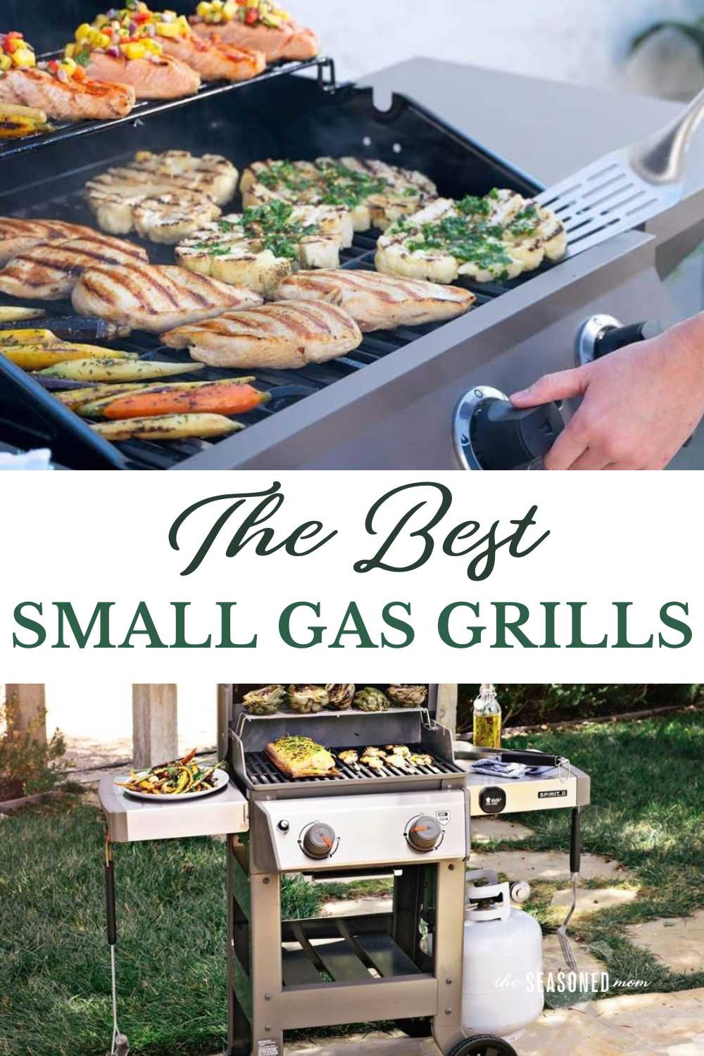 The 6 Best Small Gas Grills And Our Favorite Grilling Recipes - The ...