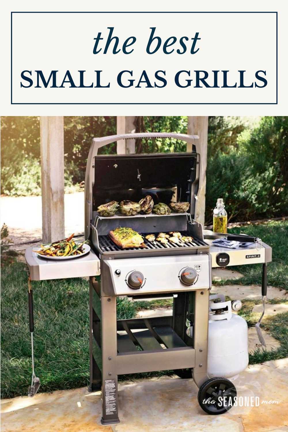 The 6 Best Small Gas Grills And Our Favorite Grilling Recipes - The ...