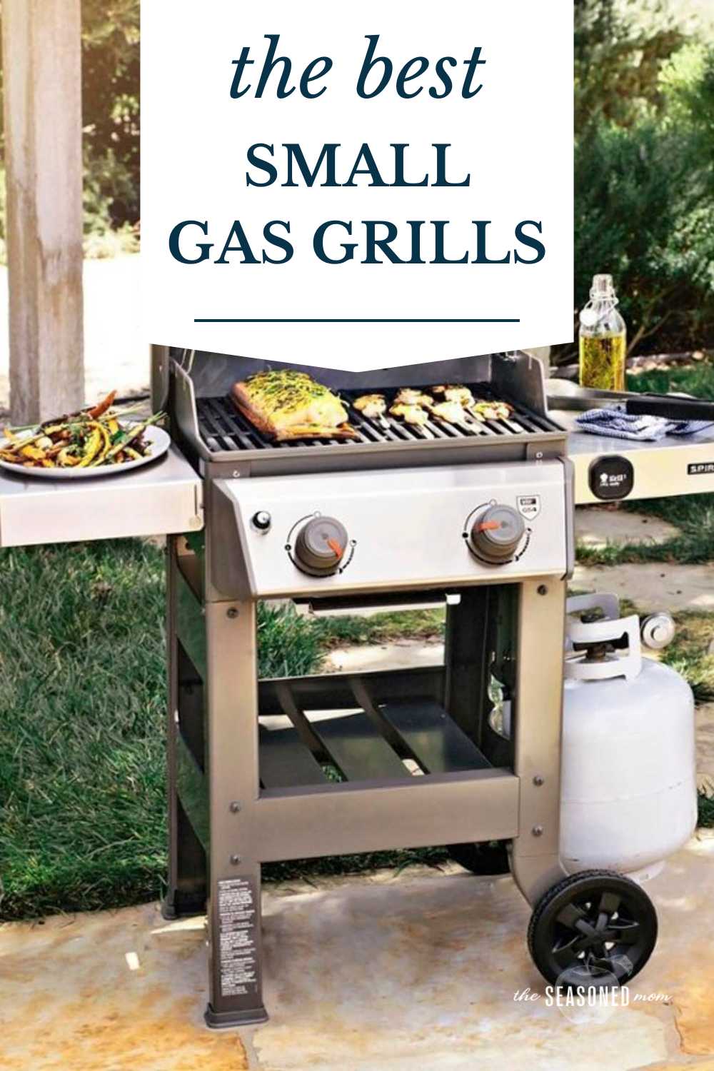 The 6 Best Small Gas Grills And Our Favorite Grilling Recipes - The ...