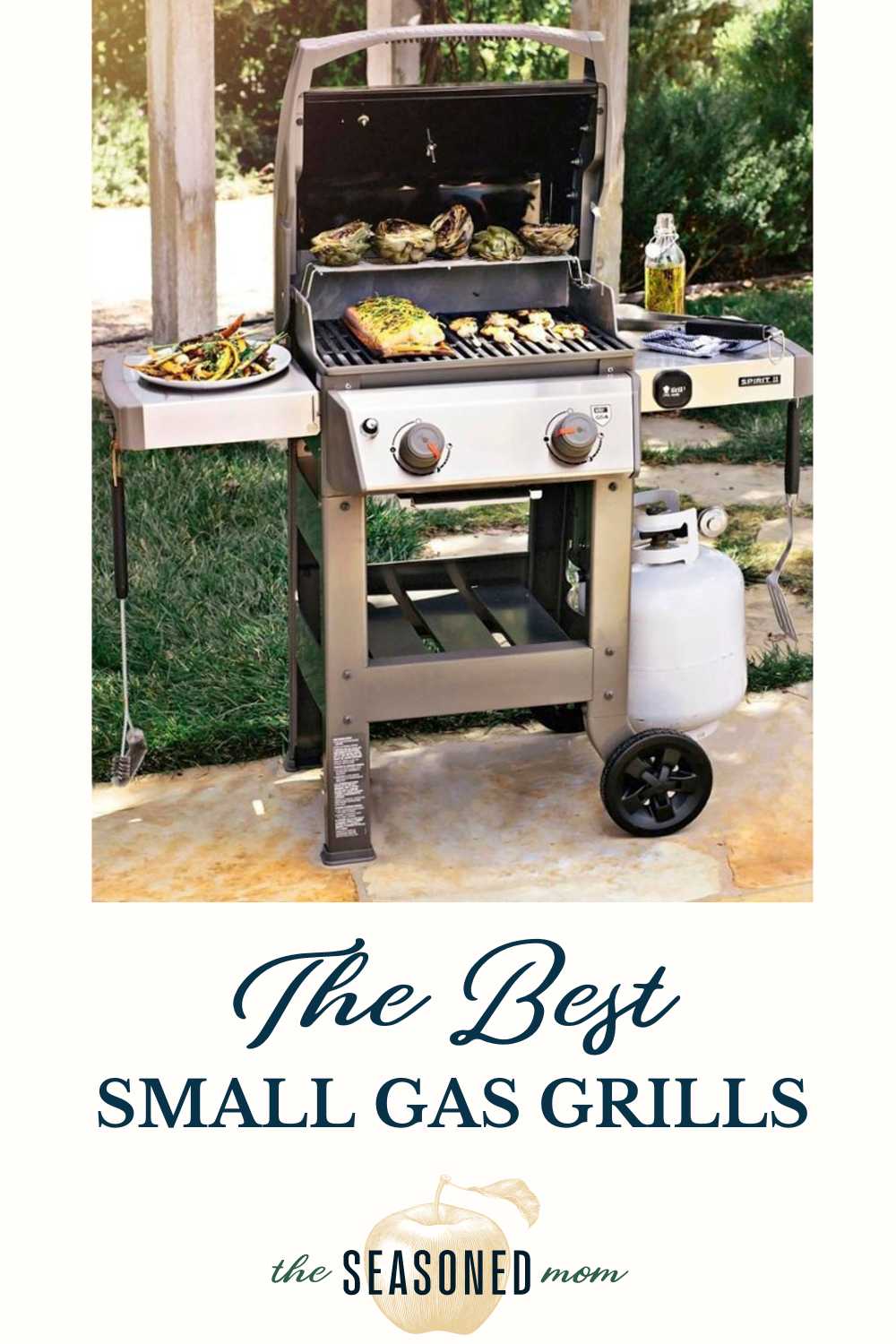 The 6 Best Small Gas Grills And Our Favorite Grilling Recipes - The ...