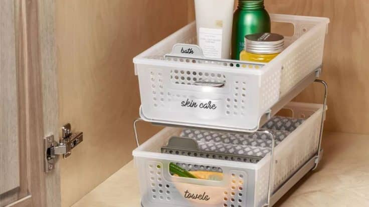 The 5 Best Under-Sink Containers of 2024 - The Seasoned Mom