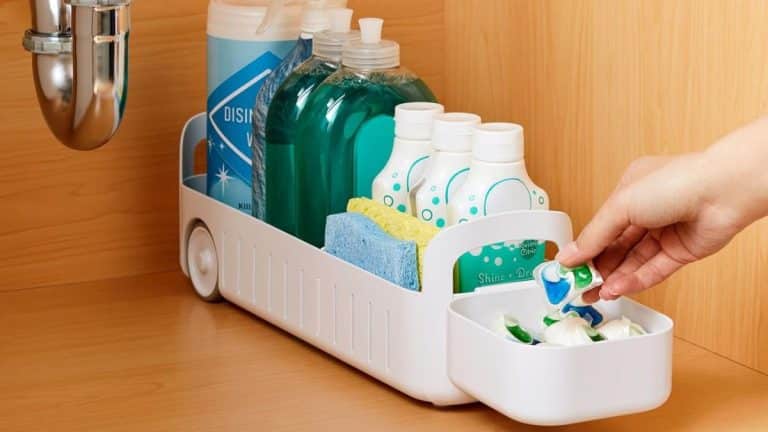 The 5 Best Under-Sink Containers of 2024 - The Seasoned Mom