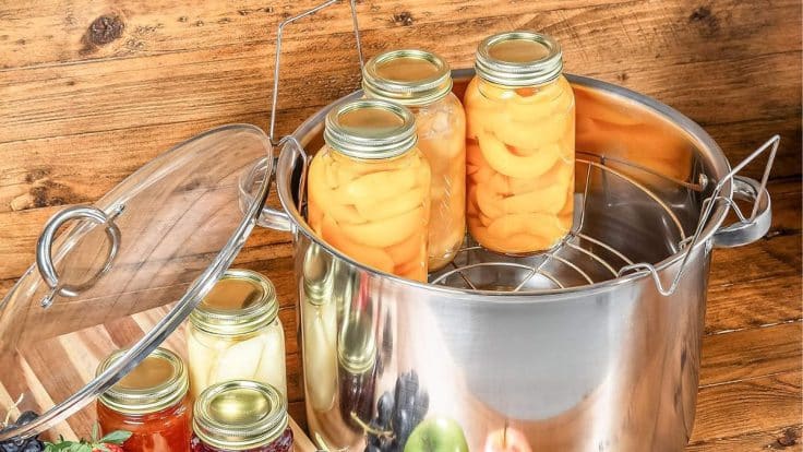 The 5 Best Water Bath Canners of 2024 - The Seasoned Mom