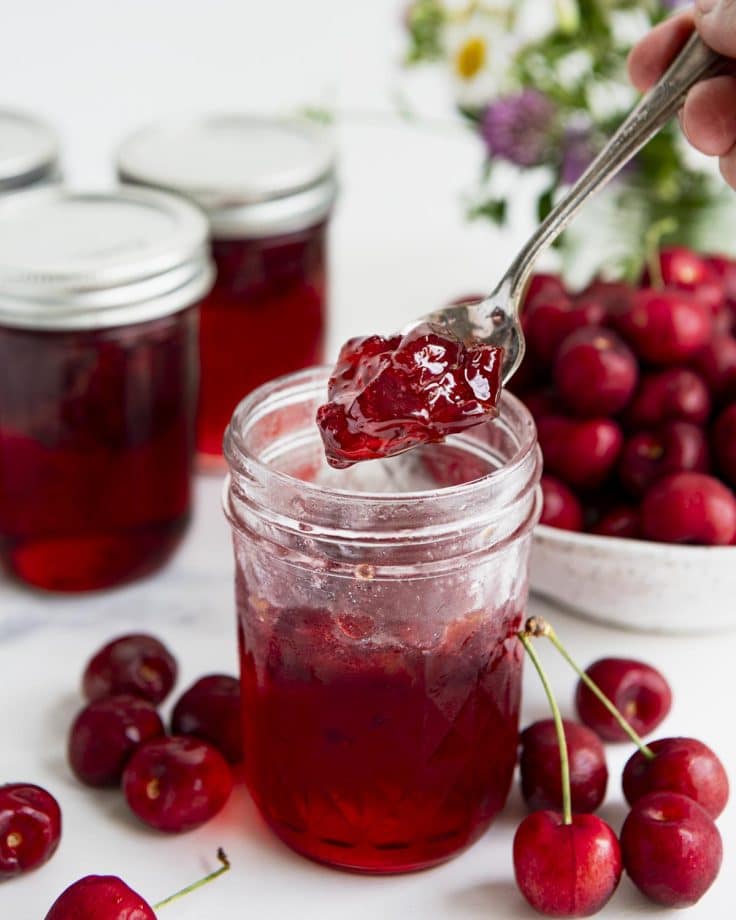 Cherry Jam - The Seasoned Mom