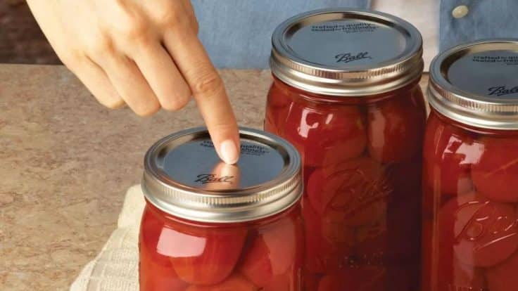 Best Canning Supplies to Preserve Veggies, Fruits, and More