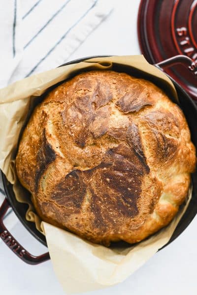 No-Knead Dutch Oven Bread {Easy 5-Ingredient Recipe} – The Seasoned Mom