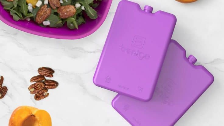 The 17 Best Back-to-School Lunch Essentials at Walmart - The Seasoned Mom