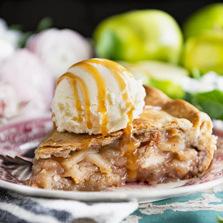 Mom's Easy Apple Pie - The Seasoned Mom