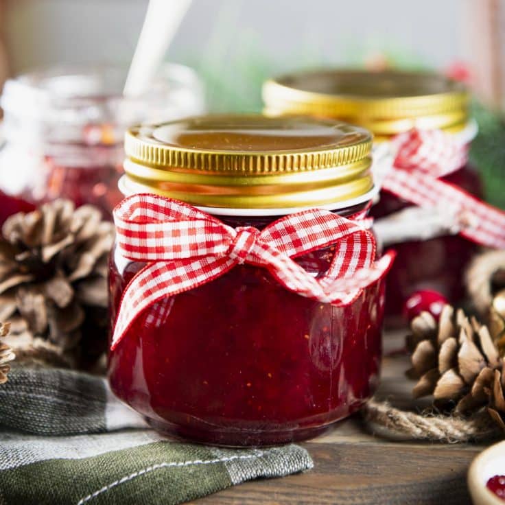 Christmas Jam - The Seasoned Mom