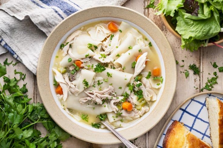 Easy Chicken and Dumplings with Frozen Dumplings - The Seasoned Mom
