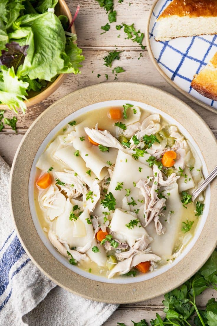 Easy Chicken and Dumplings with Frozen Dumplings - The Seasoned Mom