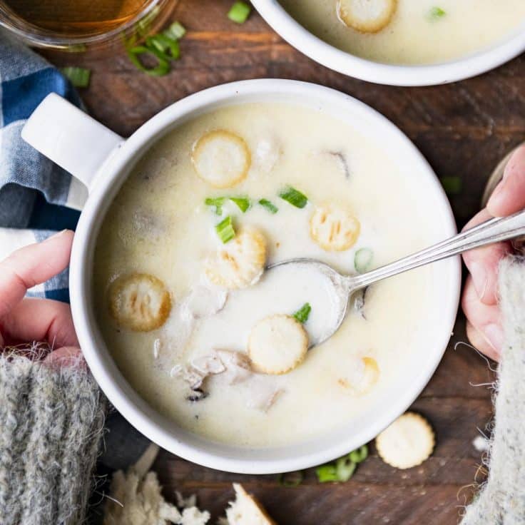 Virginia Brunswick Stew - The Seasoned Mom