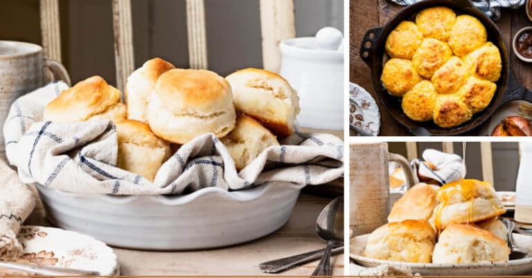 Southern Biscuit Recipes {Every Style, Every Occasion} – The Seasoned Mom